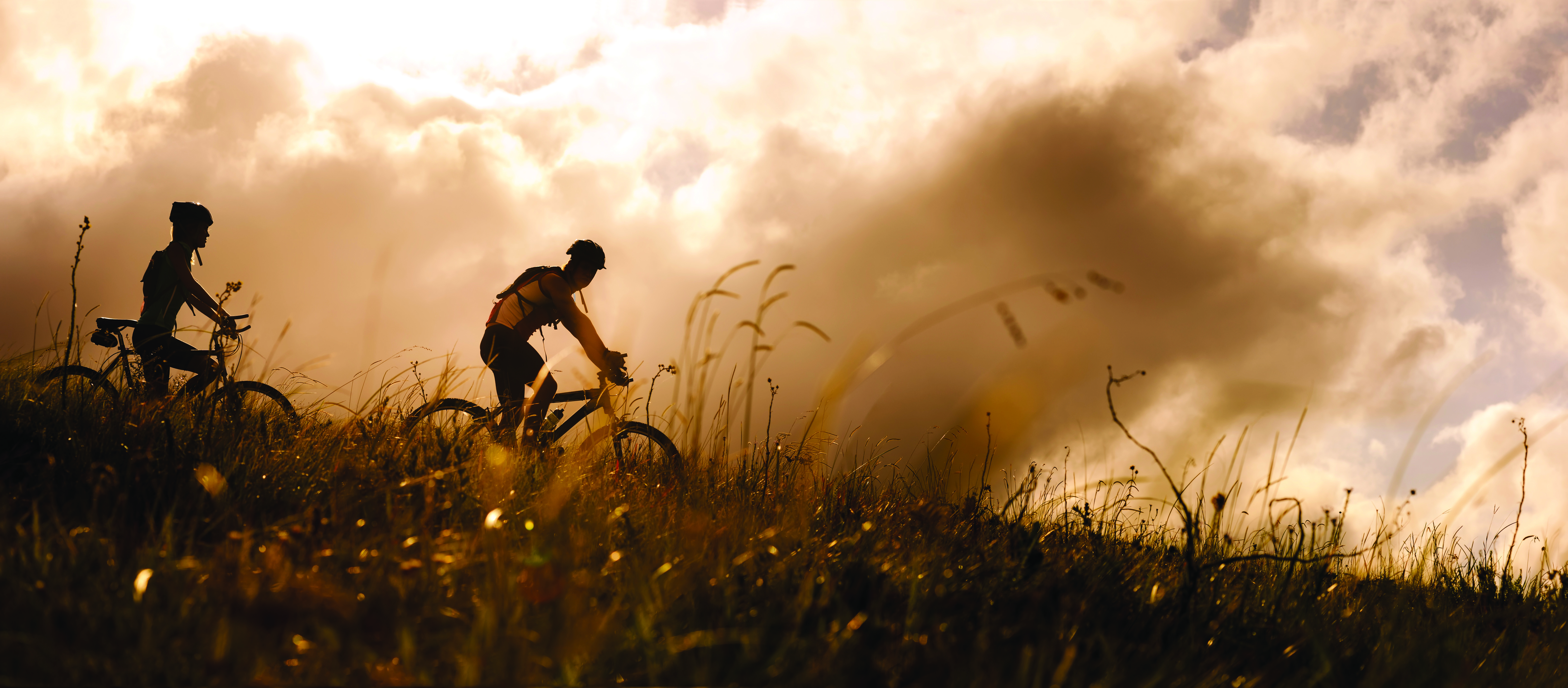 Officer Safety Corner: Bulletproof Spirit: Emotional Health and ...