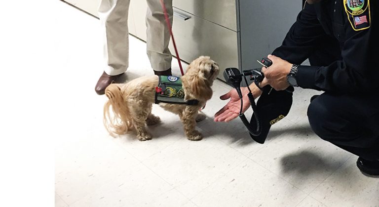 Apr Banner_OSC - Police Chief Magazine