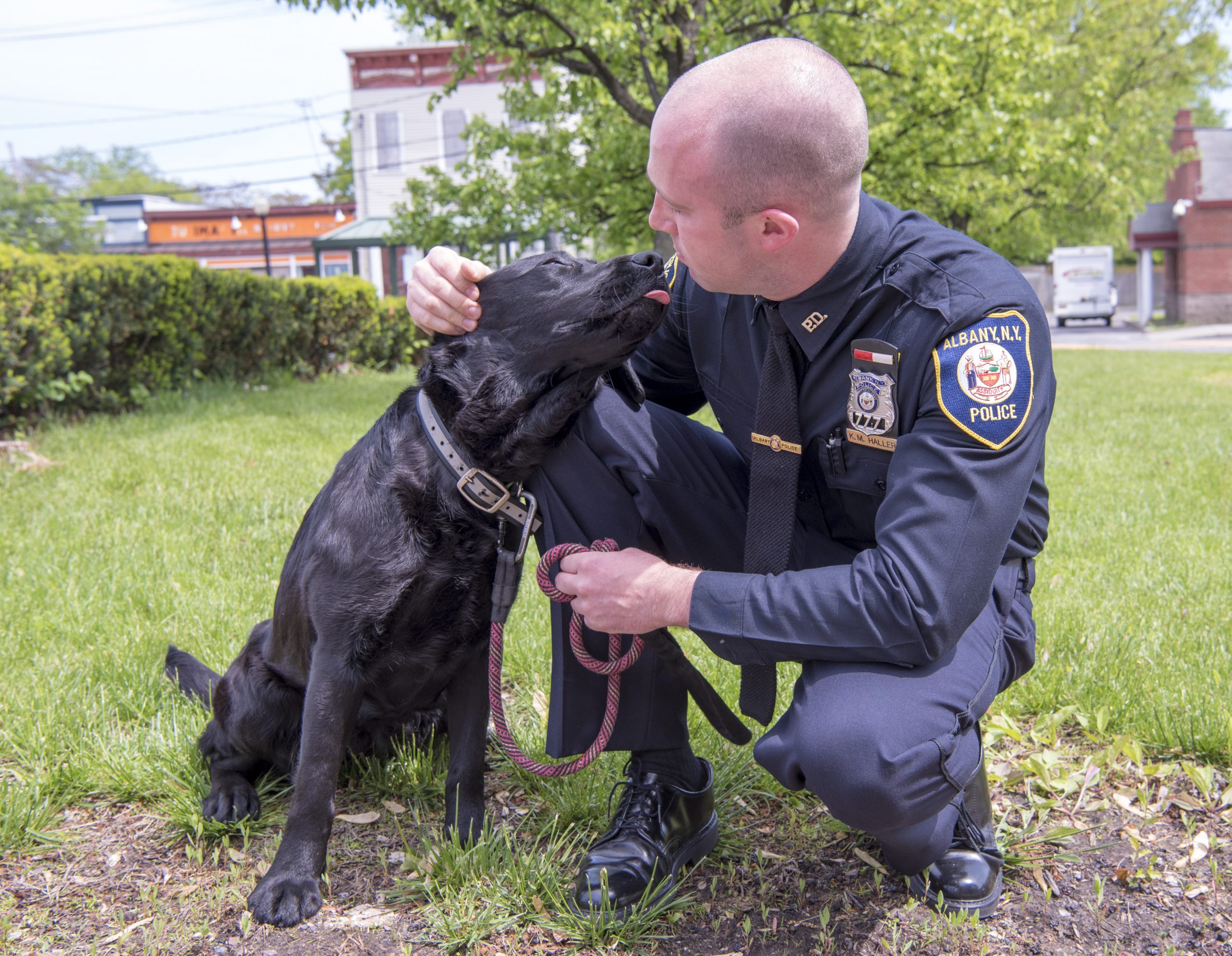 Canines Helping Cops and the Community - Police Chief Magazine