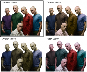 Color Vision: Understanding Color Blindness Issues - Police Chief Magazine