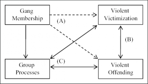 Female Gang Membership - Police Chief Magazine