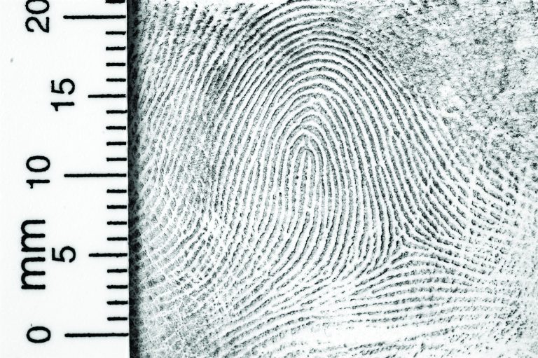 Fingerprint with ruler for measurement - Police Chief Magazine