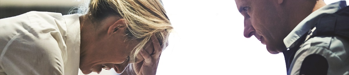 The Stalking and Harassment Assessment and Risk Profile (SHARP ...