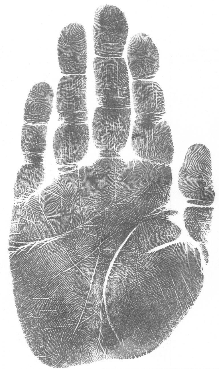 What Police Officers Need to Know About Palm Prints - Police Chief Magazine