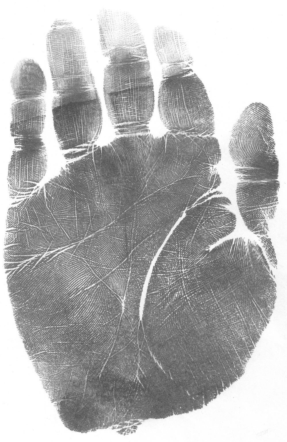 What Police Officers Need to Know About Palm Prints - Police Chief Magazine