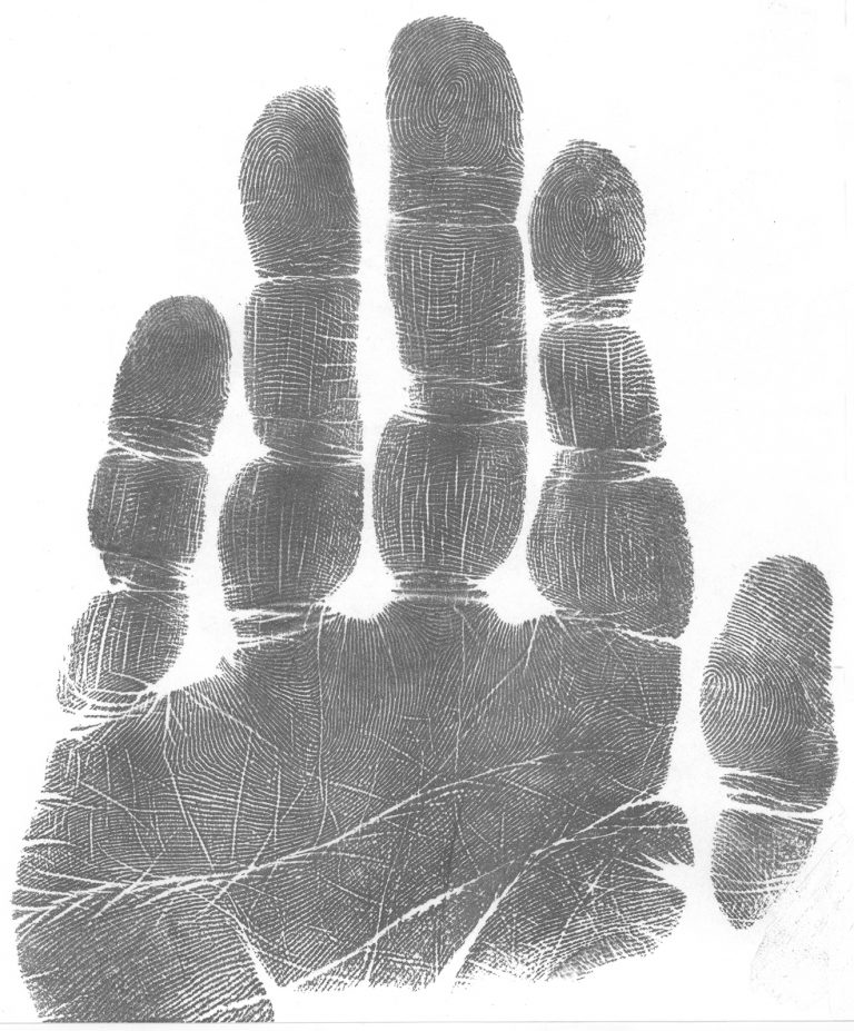 What Police Officers Need to Know About Palm Prints - Police Chief Magazine