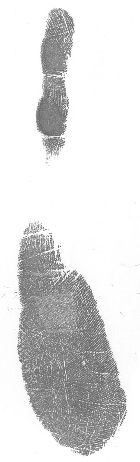 What Police Officers Need to Know About Palm Prints - Police Chief Magazine