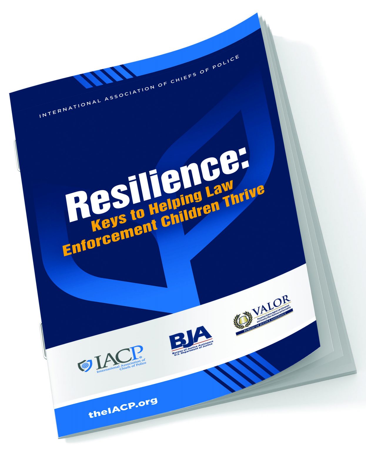 IACP@Work: 10 Strategies to Help Law Enforcement Children Thrive ...