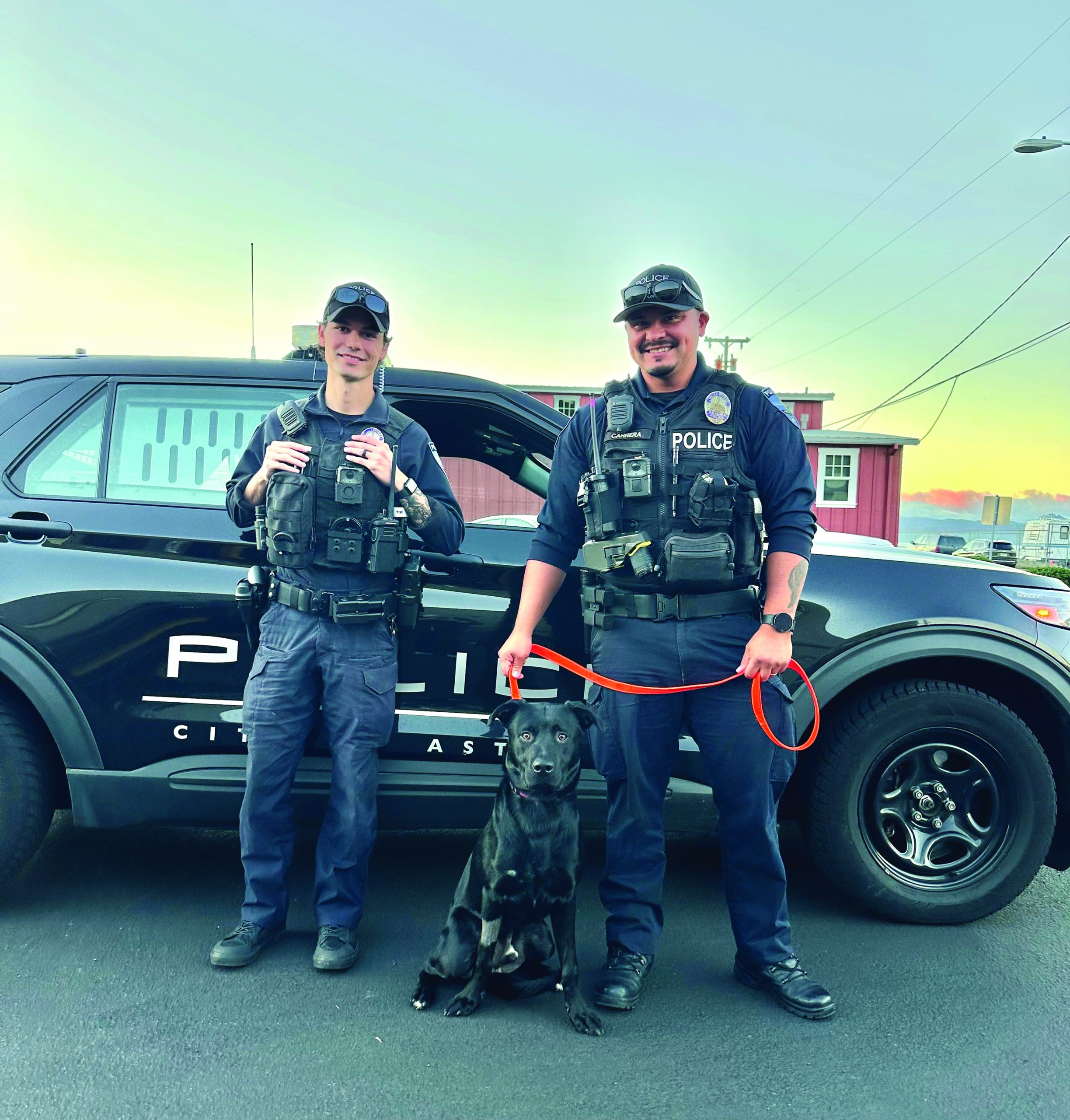 Foster Dog Program: Boosting Mental Health and Finding Homes - Police ...